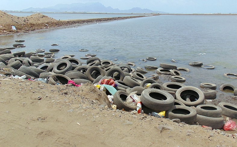 Pollutants and the Negative Impact on Biology and Marine Environment ...